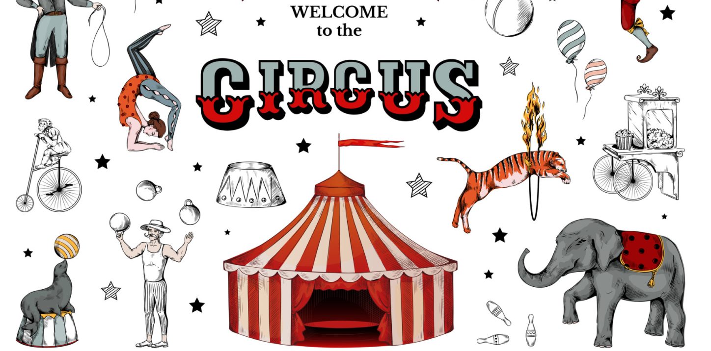 NSW Mental Health Commission’s three-ring circus | Health Services Daily