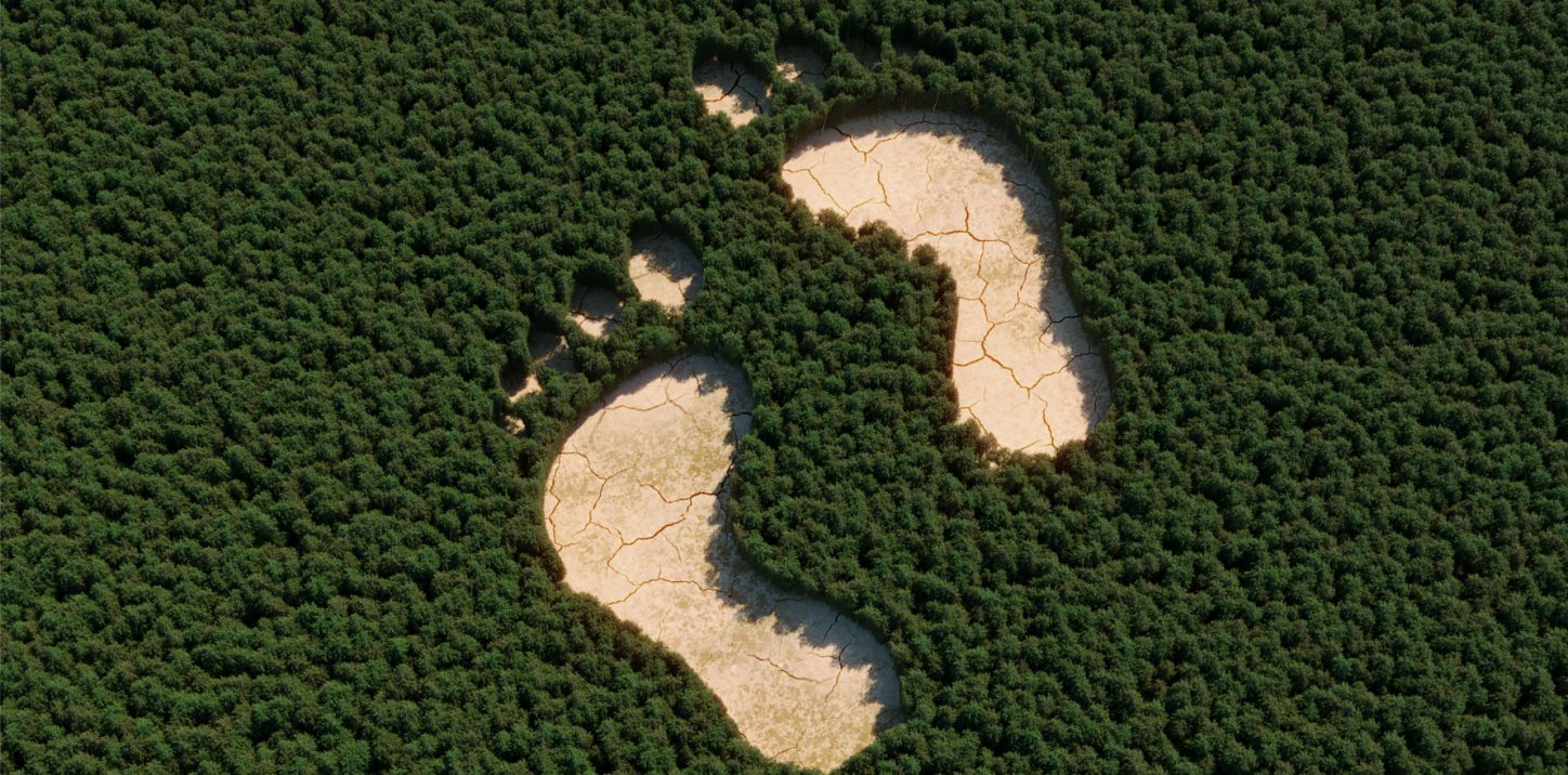 Is virtual healthcare a new weapon in reducing carbon footprint ...