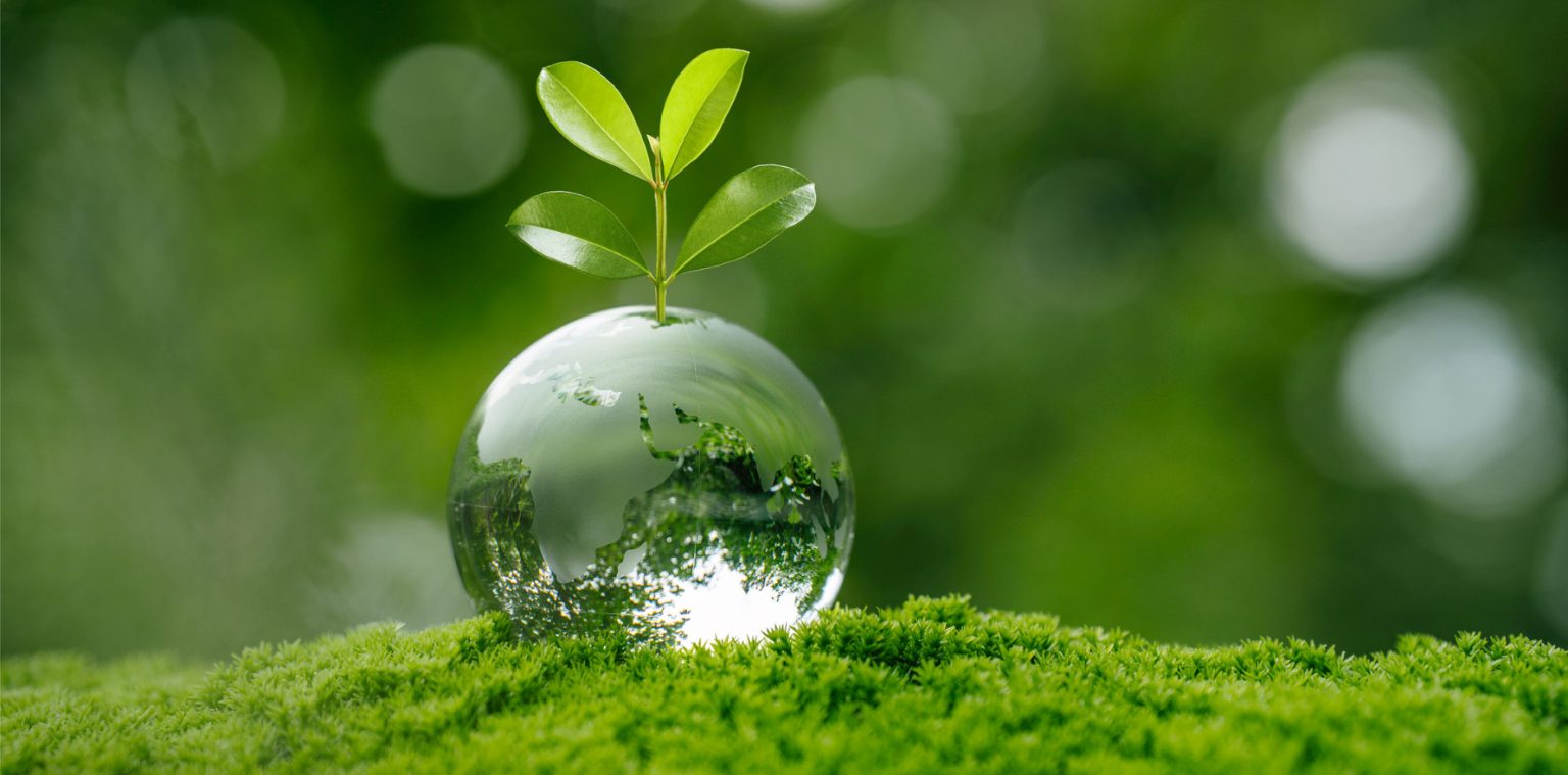 Stable investment essential for health software vendors | Health ...